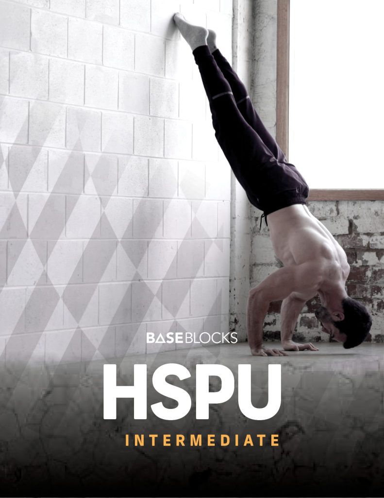 Programs – BASEBLOCKS DIGITAL